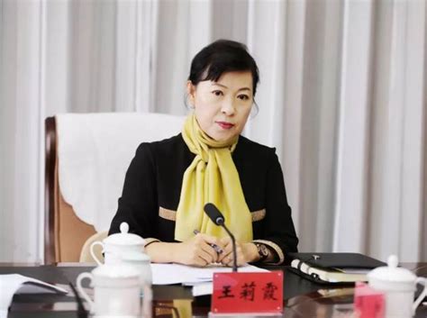 王丽霞 道歉 大山谷图库