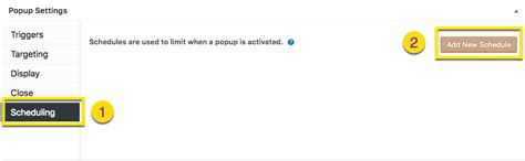 scheduling introduction and option settings popup maker