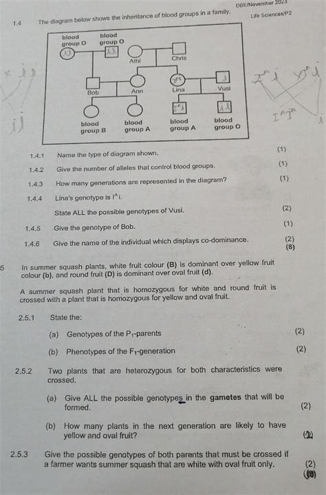 14 The Diagram Below Shows The Inheritance Studyx