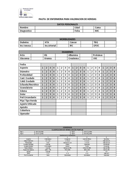 Pauta De Valoración De Heridas En Enfermería Pdf