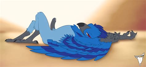 Rule 34 2023 4 Toes Abstract Background Accipitrid Accipitriform Aiareck Arpia Anisodactyl