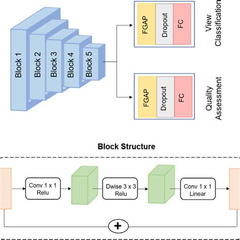 Ivc Subcostal View The Diameter Of The Ivc Is Measured Perpendicular