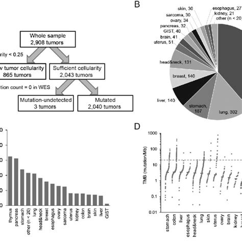 Sample Classification And Tumor Mutation Burden Tmb A All Samples