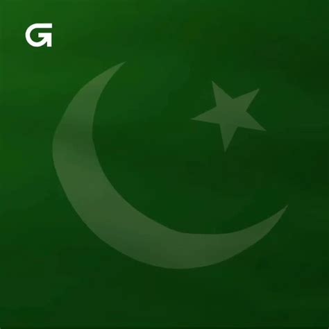 Ayesha Saddiqa On Linkedin Independenceday Freedom Celebrations