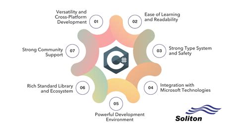 Net Development Services Soliton Technologies