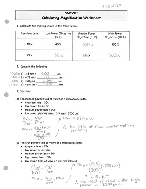 Microscopy Magnification Worksheet Calculations And Conversions