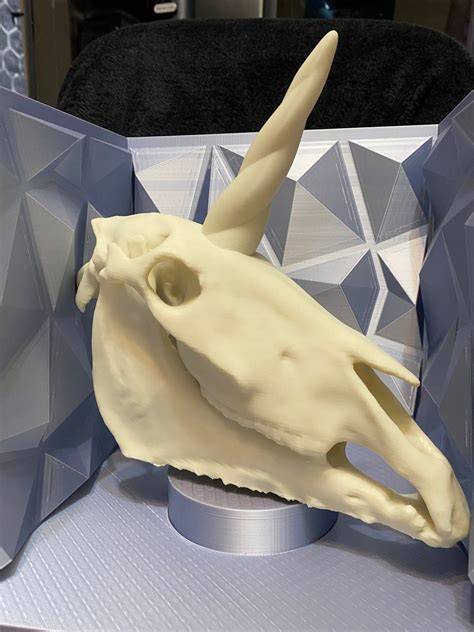 3d Unicorn Skull Etsy