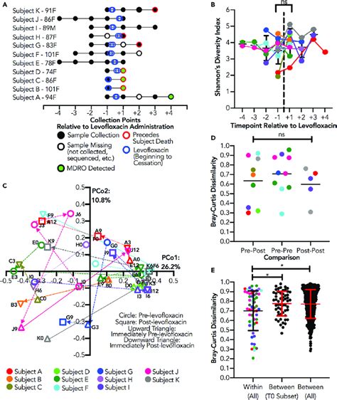 Subject Overview And Diversity Metrics A Metagenomic Sequencing Was Download Scientific