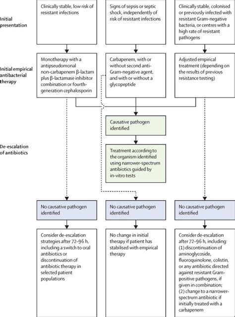 Gram Positive Rods Algorithm