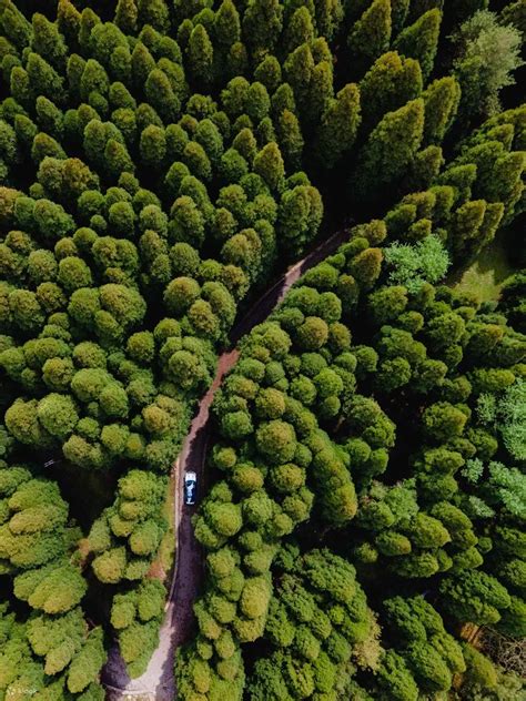 Guizhou Twilight Forest Hiking 1 Day Tour Small Group Of 2 8 People