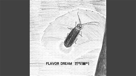 반딧불이 Youtube