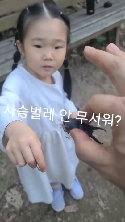 약수터 대물 발견 Youtube