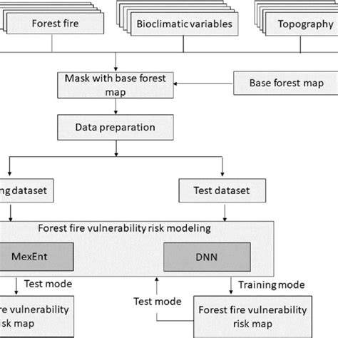 Flow Diagram For Processing Data Used To Model Forest Download