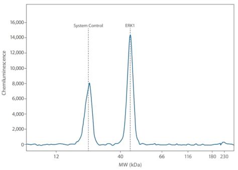 Multiplexing With Simple Western Protocol Bio Techne
