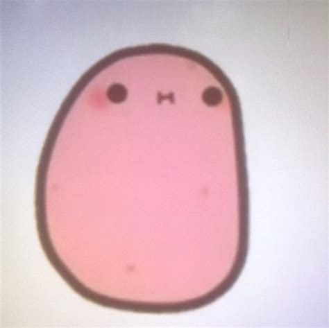 Sexy Potato Wiki One Punch Amino