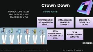 Principios Endodoncia Apertura Y Pbqm Pdf