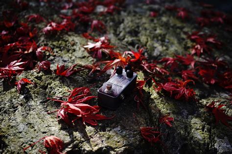 One Control Sonic Silver Peg Lep International