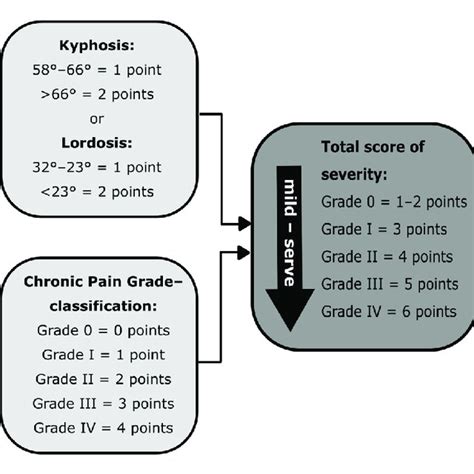 Participant Feedback On Additional Severity Classification Components Download Scientific Diagram Participant Feedback On Additional Severity Classification Components Download Scientific Diagram