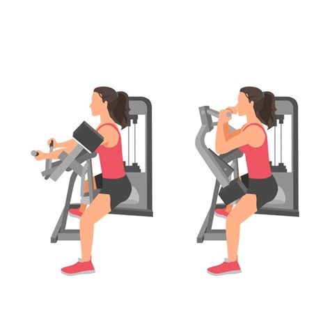 Hundred Bicep Curl Machine Royalty Free Images Stock Photos Pictures Shutterstock