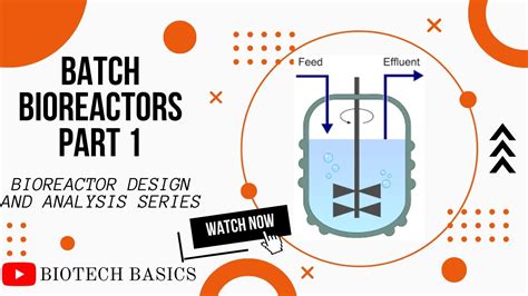 Batch Bioreactors Part 1 Bioreactor Design And Analysis