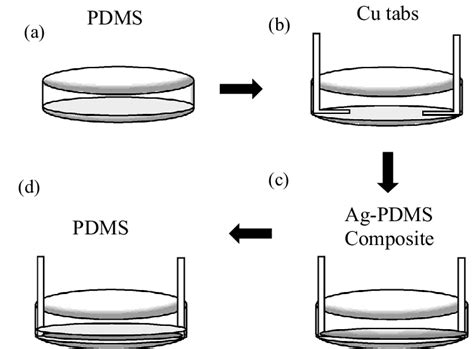 Schematic Illustration For Preparing The Sandwich Structure A Pdms And