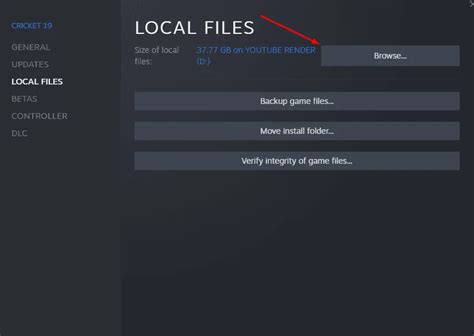 How To Fix Cricket 19 Steam Wont Launch On Windows 10 Guide How I Did It Games Req