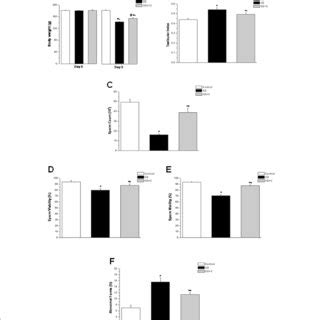 Sequence of the primers used for assessing Nrf2 and NF κβ gene expression Download Scientific