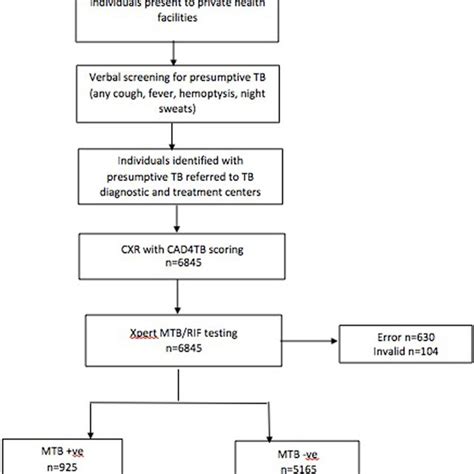 screening algorithm screening and diagnostic algorithm employed for