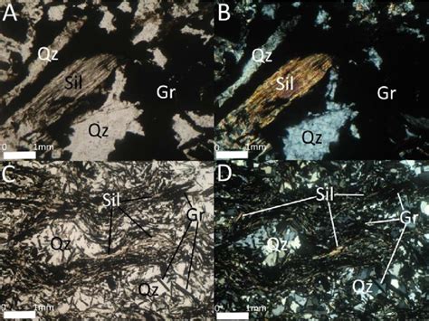 Photomicrographs Illustrating Graphite Textures A And B Are From Download Scientific Diagram