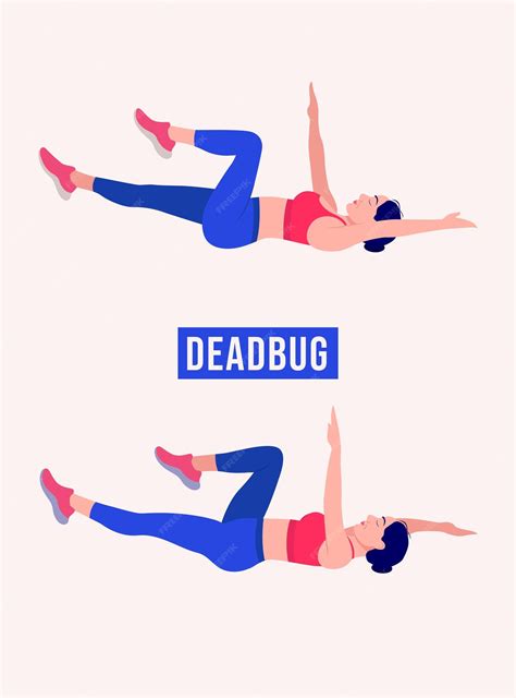 Exercise Name Dead Bug Dead Bugs Übungen Fdomf