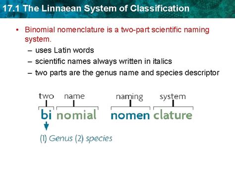 17 1 The Linnaean System Of Classification Key 17 1 The Linnaean System Of Classification Key