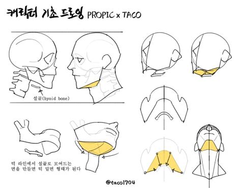 타코작가 Taco1704 On X 드로잉 강좌 그리기 튜토리얼 카드 스케치