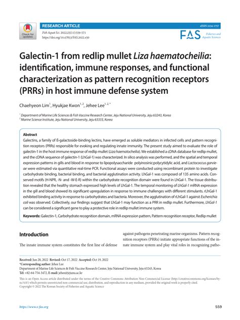 Pdf Galectin 1 From Redlip Mullet Liza Haematocheilia Identification
