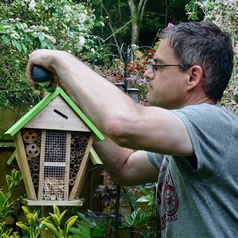 Green Shield Bug Our Gardens Matter