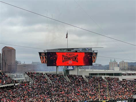 Afc North Champs Rbengals