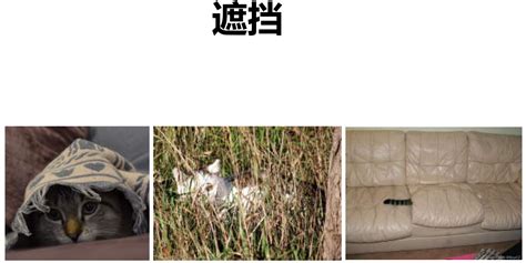 （一）图像分类任务介绍 image classification csdn博客