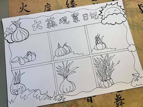 植物的一生手抄报20张 几塔之家