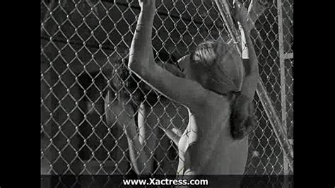 Angelina Jolie Anal Sex Porn Videos Letmejerk