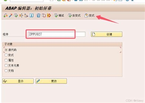 【sap Abap 创建、修改、删除变式】sap创建变式 Csdn博客 【sap Abap 创建、修改、删除变式】sap创建变式 Csdn博客