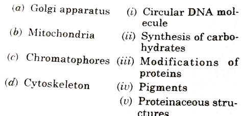 Find The Correct Match