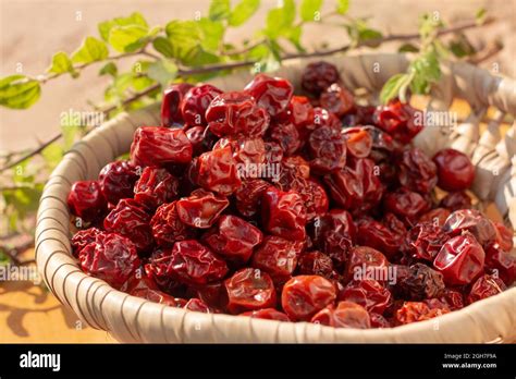 What To Do With Dried Jujubes At Eileen Perry Blog