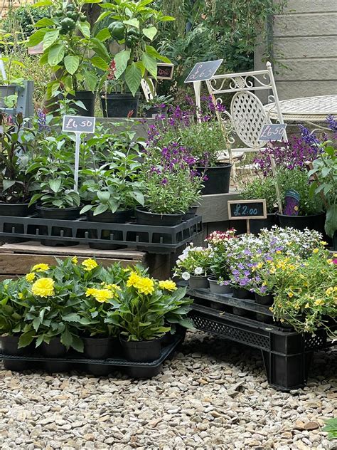 New Delivery From Josh Lilians Plants Tysoe Post Office