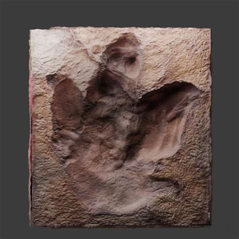 🦖 T Rex Footprint High Detail Real Fossil Replica・ Stl File For 3d