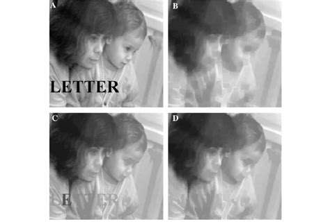 A Original Image B Morphological Closing U L With L 7 C