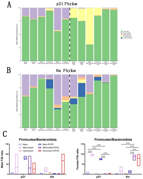 Antibiotic Treatment During Pregnancy Alters Offspring Gut Microbiota