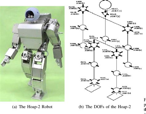 Central Pattern Generator Semantic Scholar