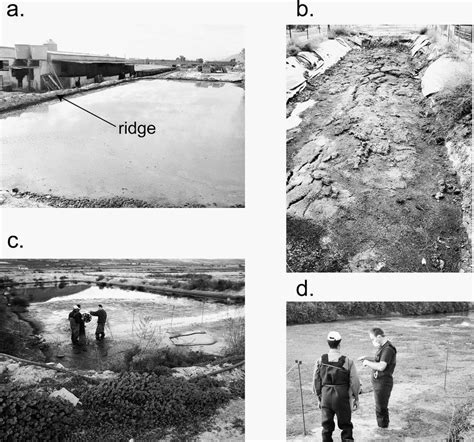 A Slurry Pond Without Artificial Impermeabilization B Slurry Pond