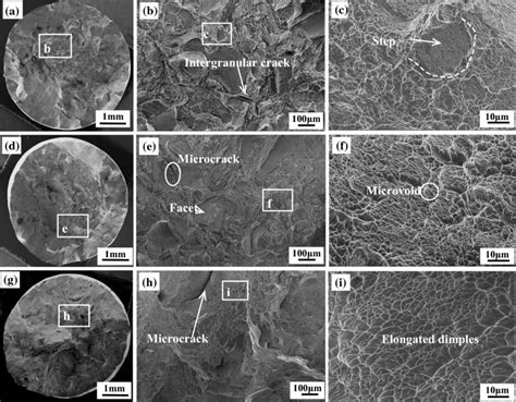Tensile Fracture Surfaces Of The Alloy After Annealed At Different Download Scientific Diagram