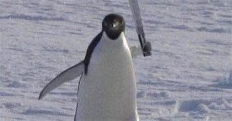 Linux Album On Imgur