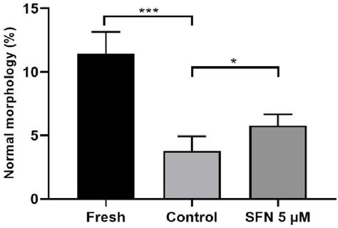 Determination Of Sperm Morphology Using Diff Quick Staining In Fresh Download Scientific
